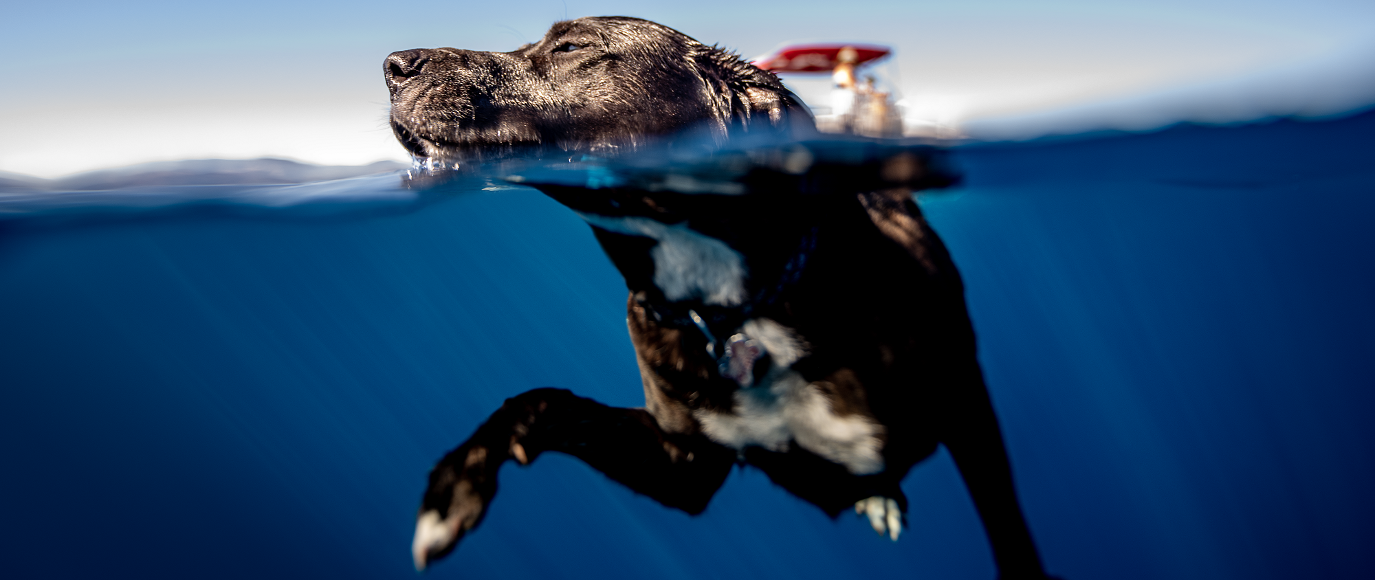 Our Story – VK9